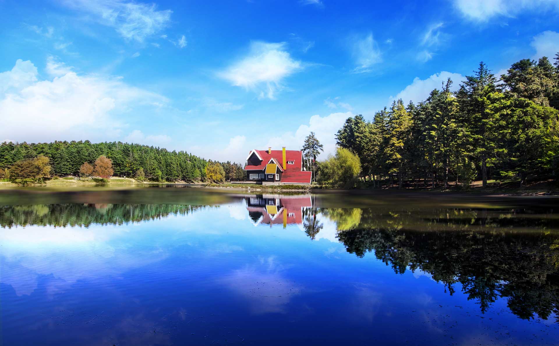 What to Expect from Top-Tier Property Care Services