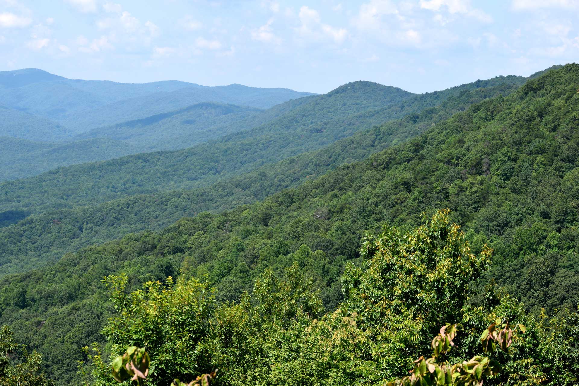 Why North Georgia Homeowners Choose Home Concierge Service